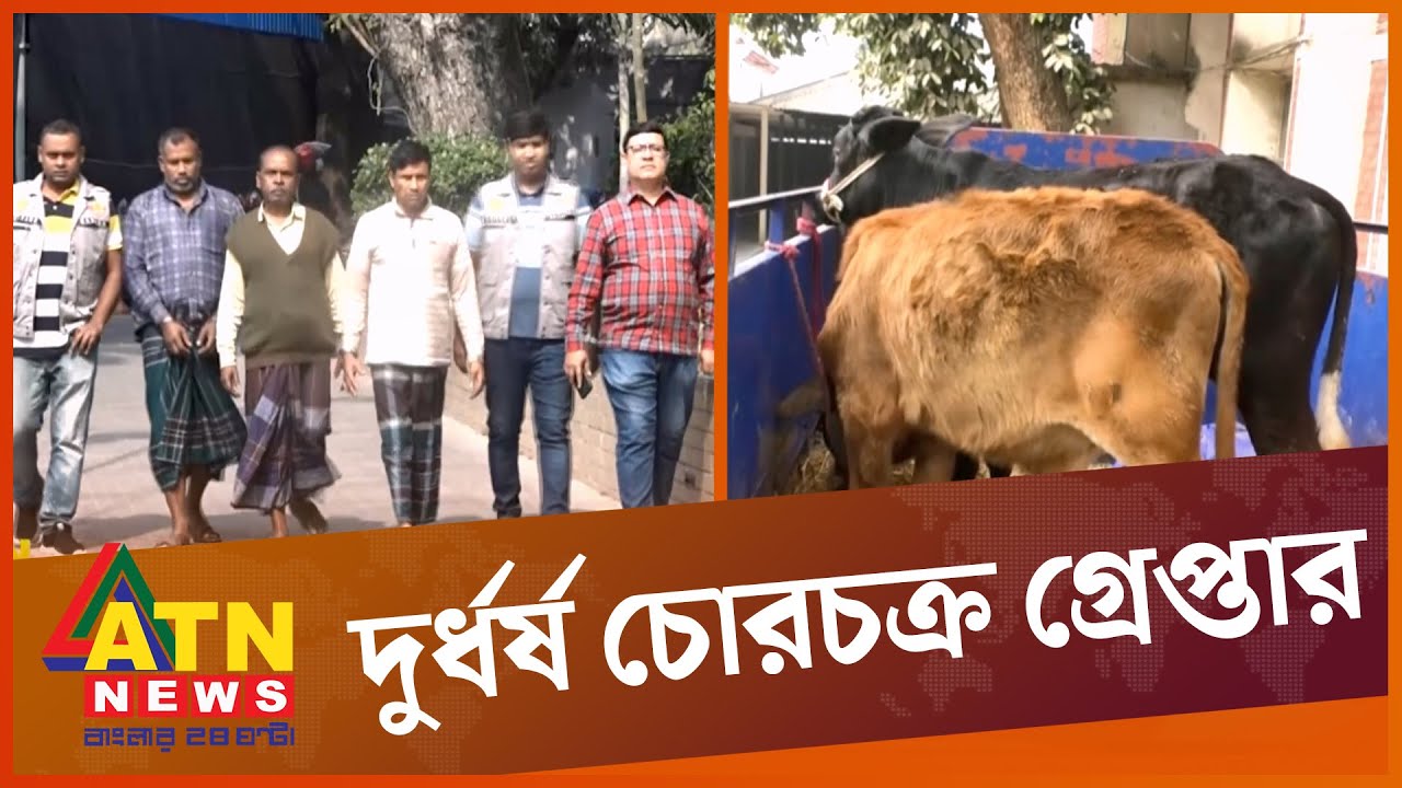 গরুচোর চক্রের গৃহবধূ হ-ত্যা, ডাকাতি | Crime News | Gang of Thieves ...