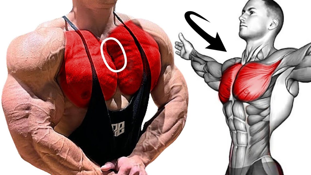6 Effective Exercises Workout to Make Big Fuller CHEST - YouTube