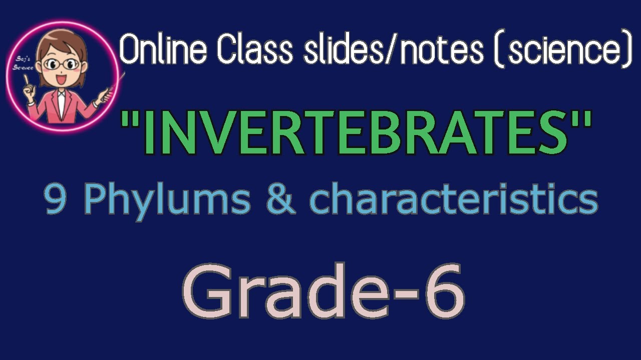 Invertebrates, 9 Phylum's Slides/Notes Grade 6 Online class {SAJ ...