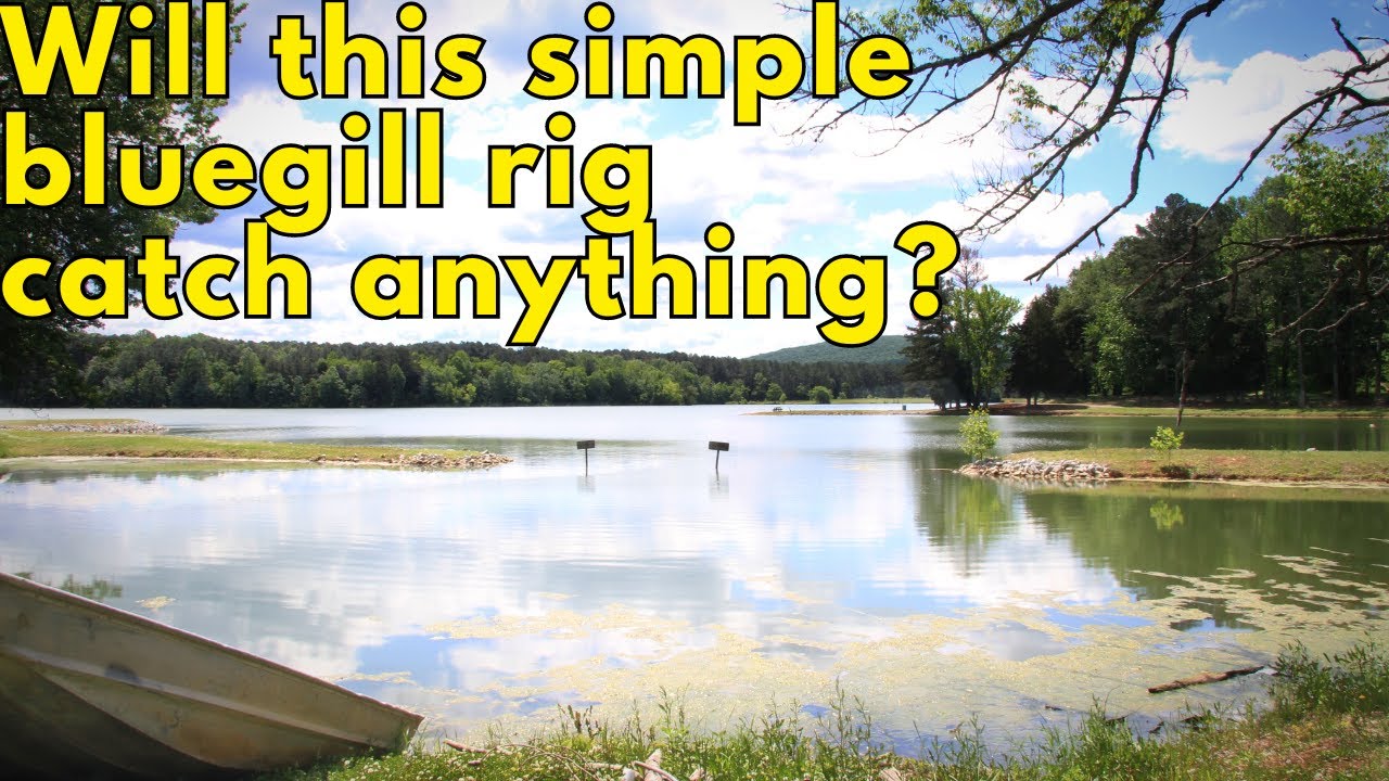 Can This Simple Rig Really Catch Fish? Let's Find Out! - YouTube