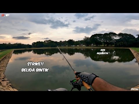 STRIKE!! Casting & Teknik Pelampung Guna EXP Spyno Reel - #v162 - YouTube