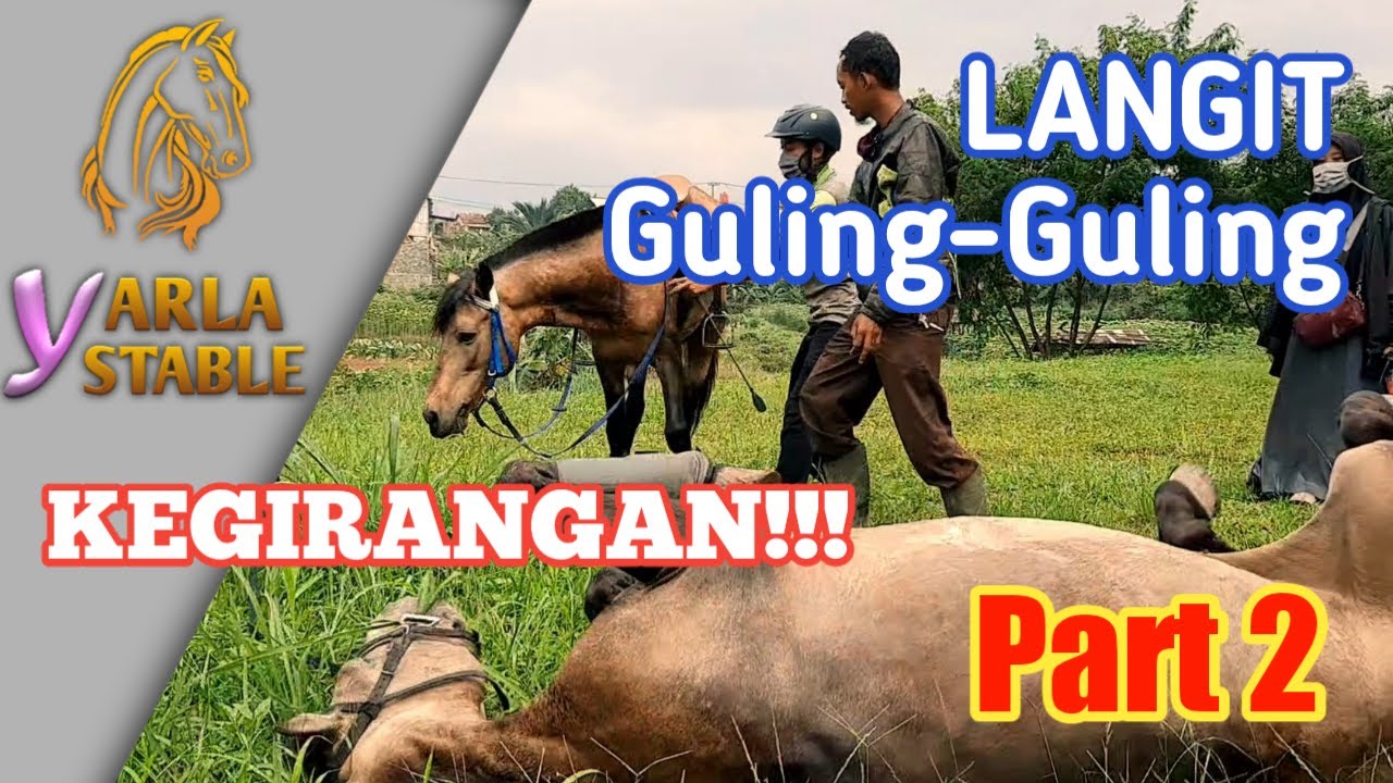PART 2 : LANGIT KEGIRANGAN SAMPAI GULING-GULING ~Kayu Manis || Sekolah ...