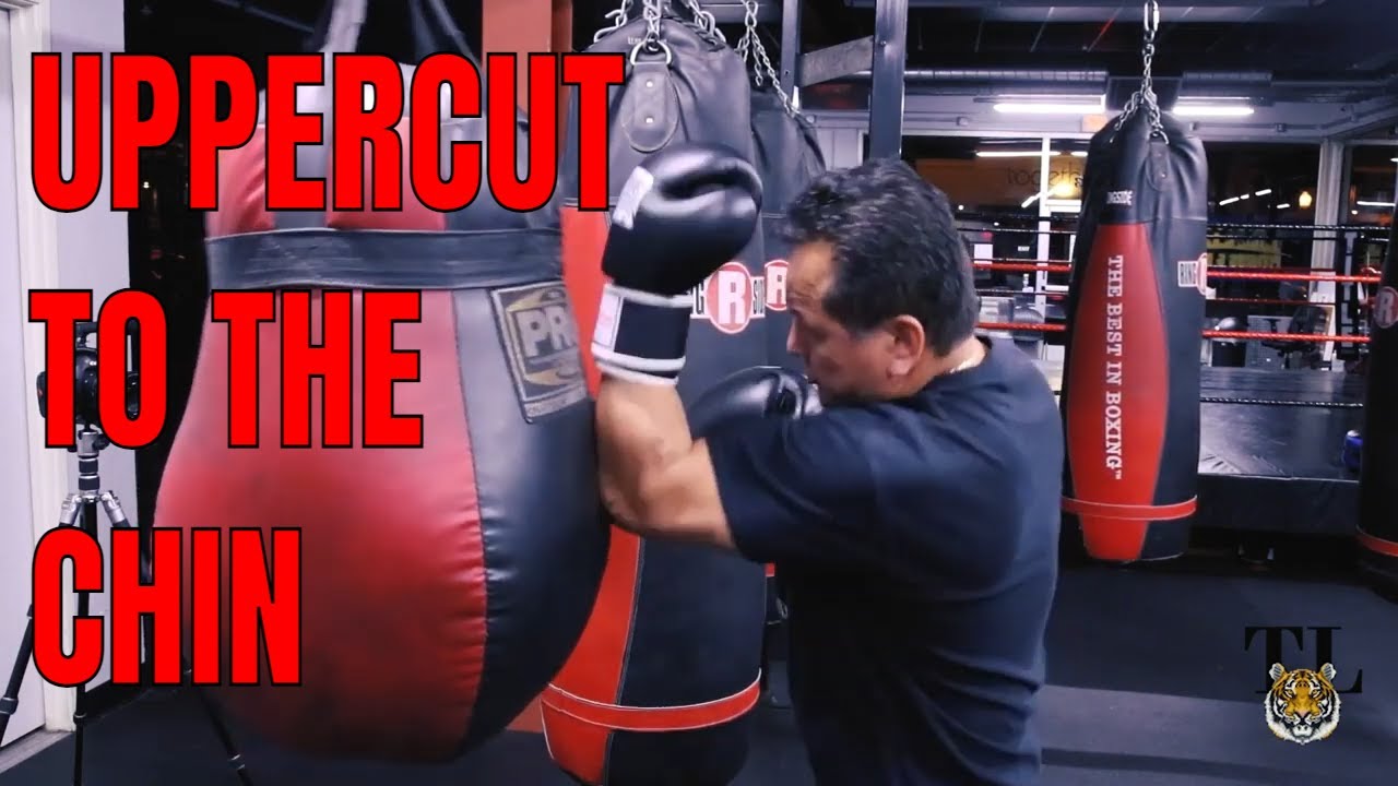 Uppercut to the Chin - Boxing Basics with Tony "The Tiger" Lopez - YouTube