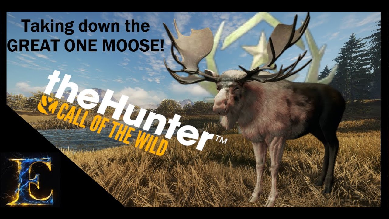 Taking down a Majestic Two Tone Quad Paddle GREAT ONE moose! - YouTube