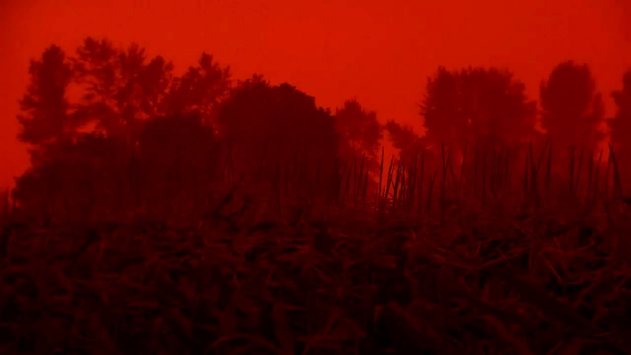 Blood Red Sky over CA, OR & WA also Giant Tsunami to devastate Seattle ...