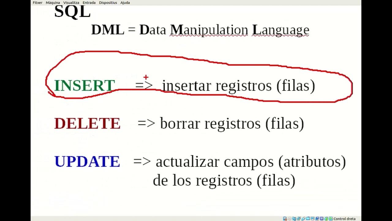 Comandos: INSERT , DELETE , UPDATE (Curso de SQL) - YouTube