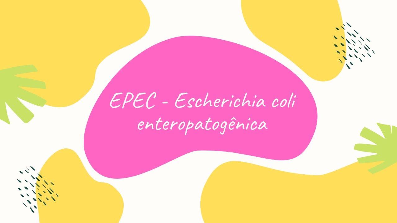 EPEC - Escherichia coli enteropatogênica - YouTube