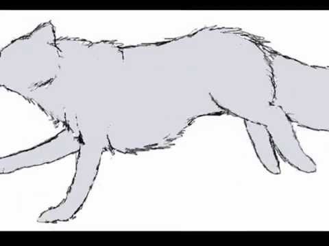 Wolf Run Cycle - YouTube