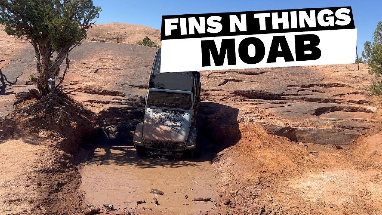 Fins N Things - YouTube