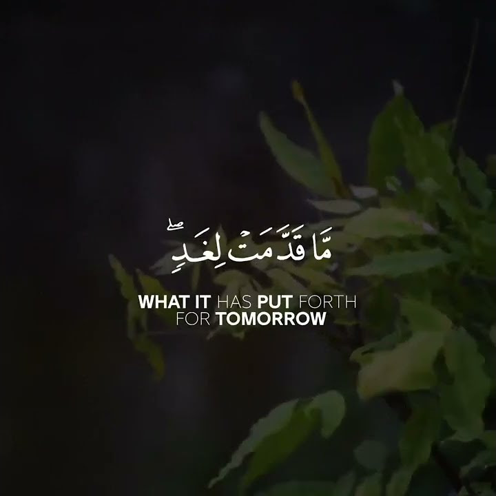 يا أيها الذين آمنوا اتقوا الله ولتنظر نفس ما قدمت لغد واتقوا الله