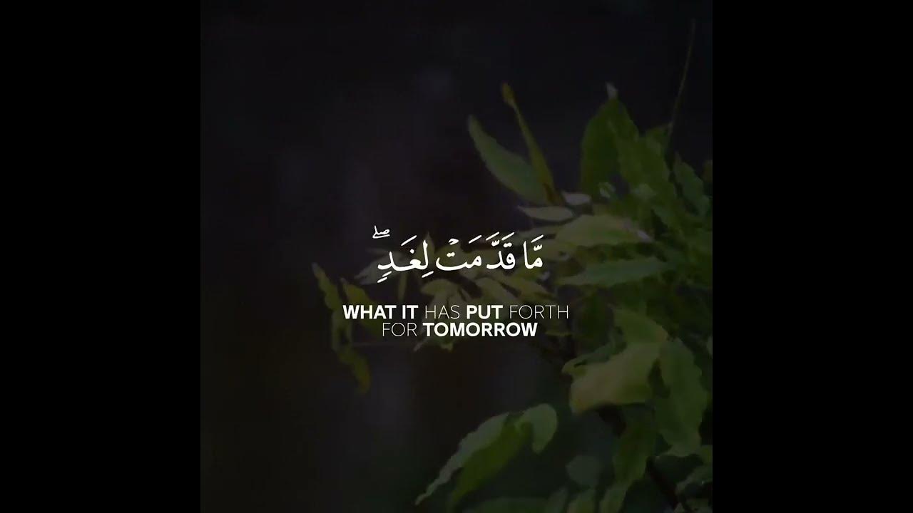 يا أيها الذين آمنوا اتقوا الله ولتنظر نفس ما قدمت لغد واتقوا الله