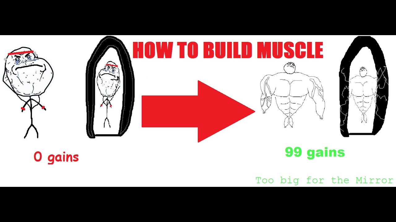 Unleashing Your Muscle Potential: Top 5 Ways for Massive Muscle Gains ...