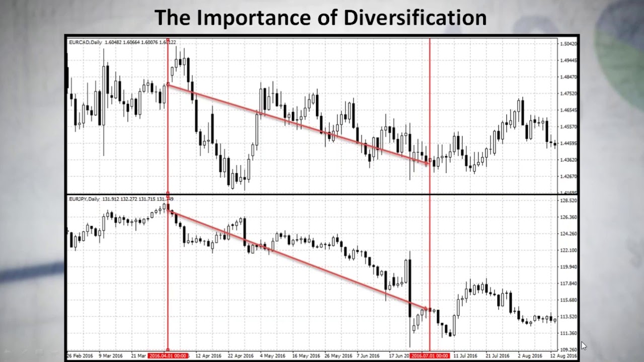 Importance of Diversification in Forex Trading - YouTube