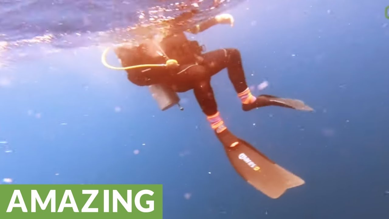 Huge fish bait ball tries to use surfacing scuba divers as protection ...