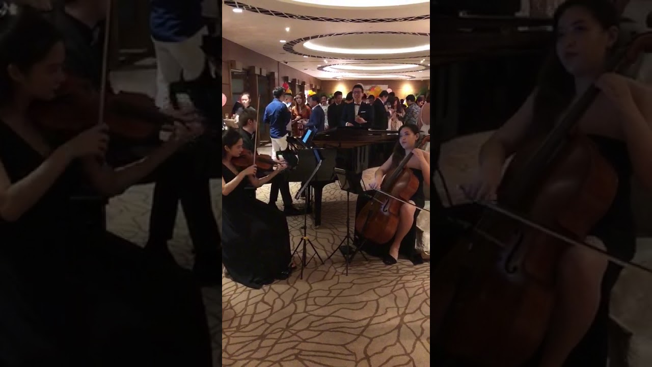Shan The Cellist - playing for Dr VT & Sara Shantelle Lim's Singapore ...