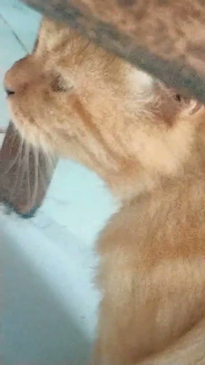 dup dup dup ITS you - YouTube