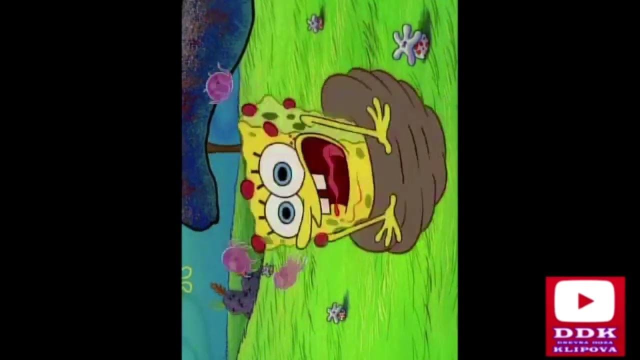 Sundjer Bob Kockalone - Povratak Prirodi - YouTube