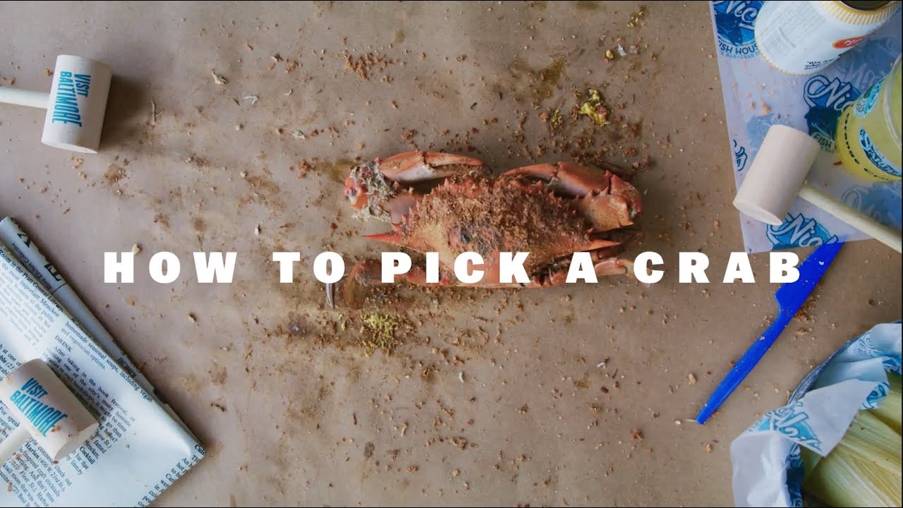 The Index: How To Pick A Crab - YouTube