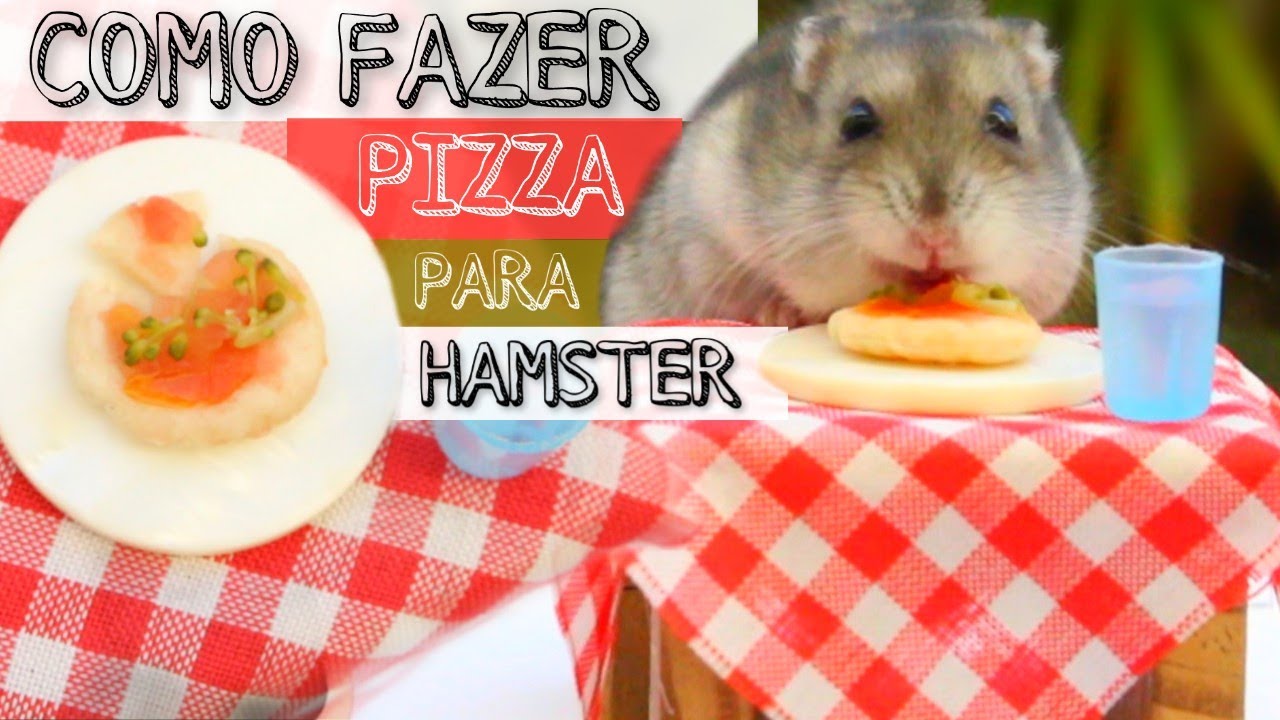 Como fazer pizza para hamster! - YouTube