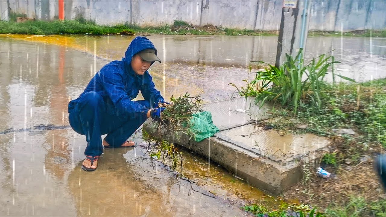 Maintenance Culvert By Cleaning and Remove All Trash and Grass Out ...