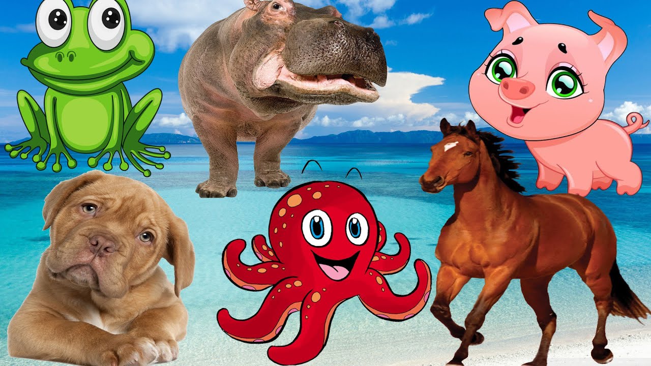 Pets and farm animals playing together, cute sounds: dog, chicken ...