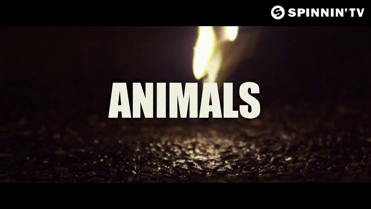Martin Garrix Animals Official Video # musica - YouTube