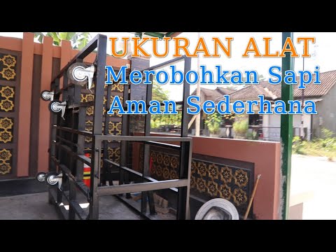 Alat keren Merobohkan Sapi | Alat Merobohkan Sapi Aman Sederhana | Alat ...