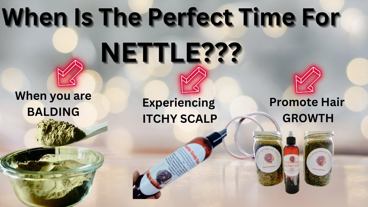 Using Nettle Hair Mask, Nettle Scalp Tonic, Nettle Hair Growth Oil ...