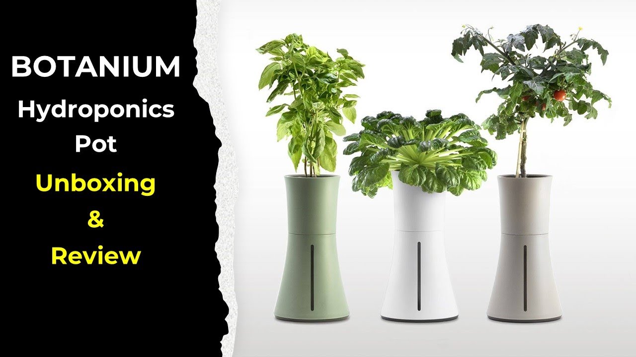 Botanium Hydroponics Pot | Unboxing | Review | Indoor Gardening ...