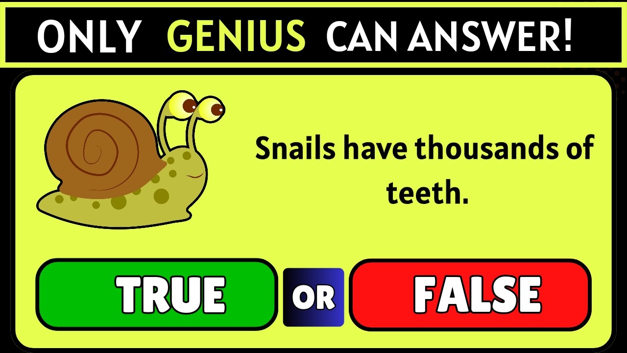 True or False Quiz ||Test your knowledge with these 20 interesting ...