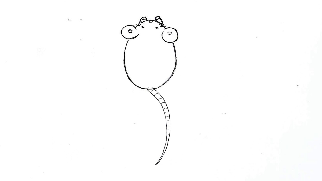 2D Traditional (Animation Fundamentals 1) - Waving tail - YouTube