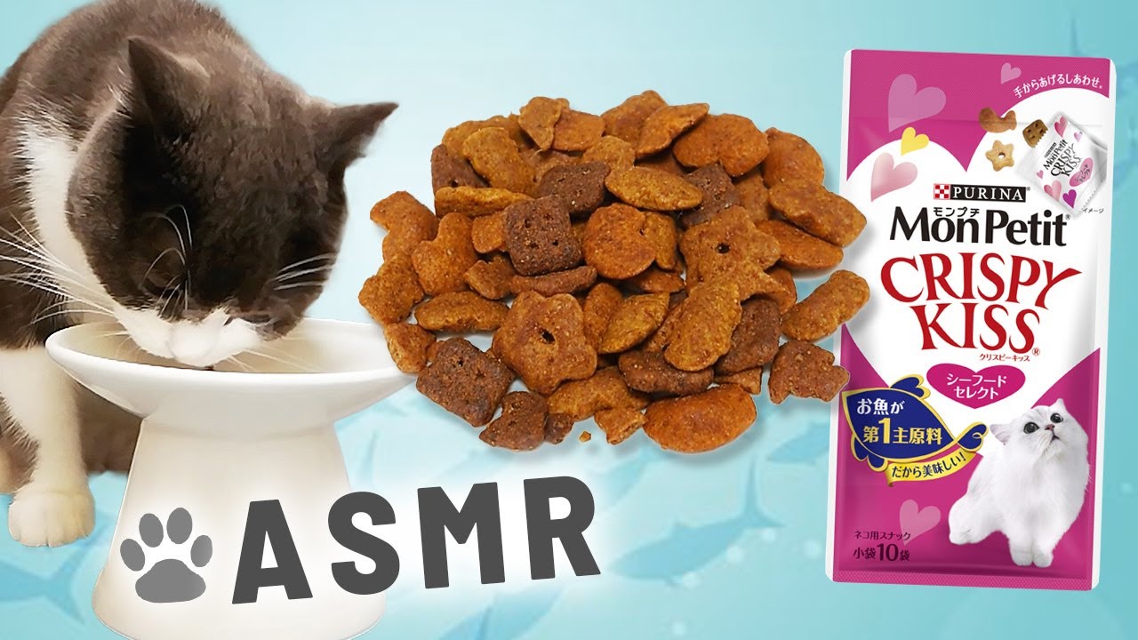 [Cat ASMR] Colorful crispy food of various shapes 🌟 [eating sound ...