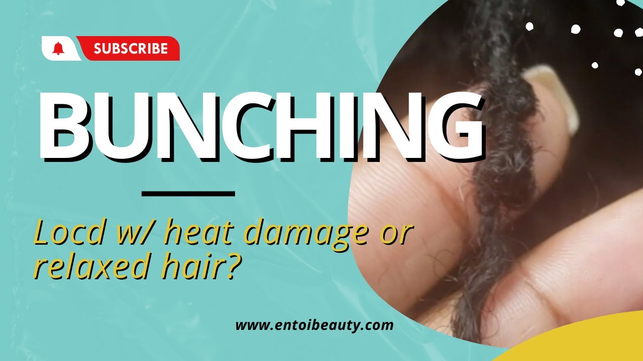Loc Bunching With Heat Damage/ Relaxed Hair| Microlocs | Sisterlocs ...
