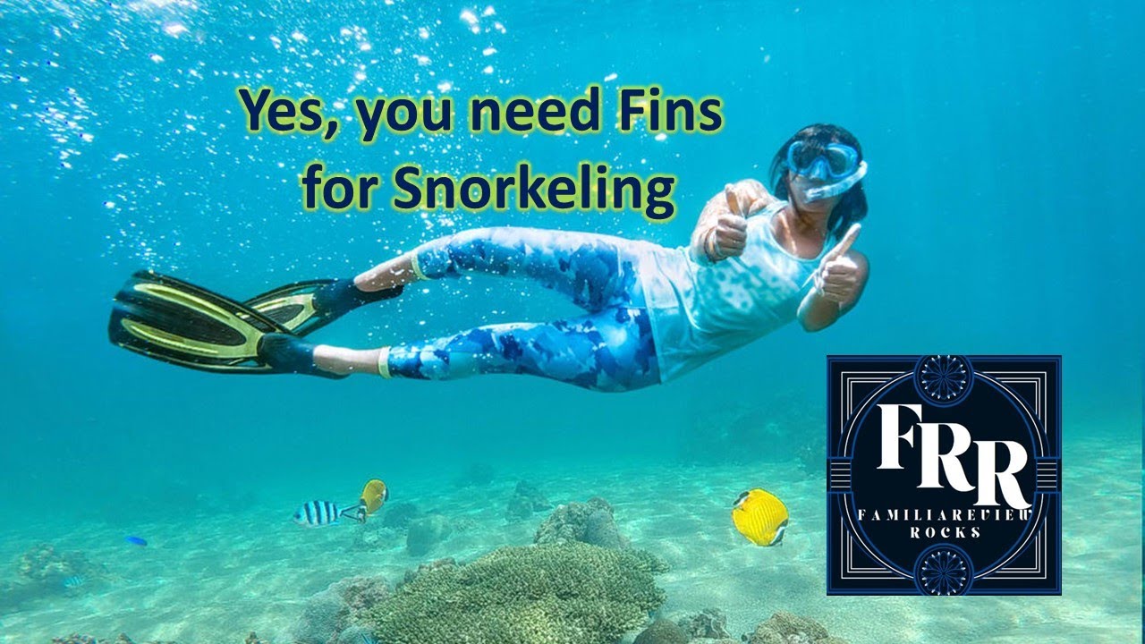 SNORKELING in Goa | Best snorkeling trip in Monkey Island | Candles ...