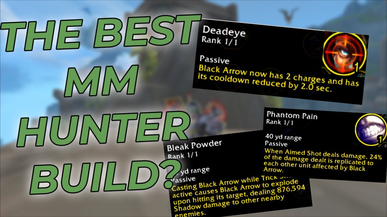 The BEST MM Hunter Build!! - YouTube
