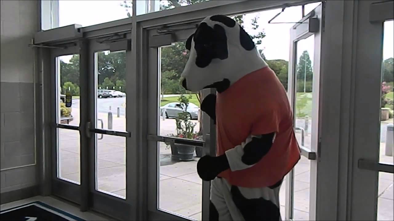The Cow Goes Back to School - YouTube