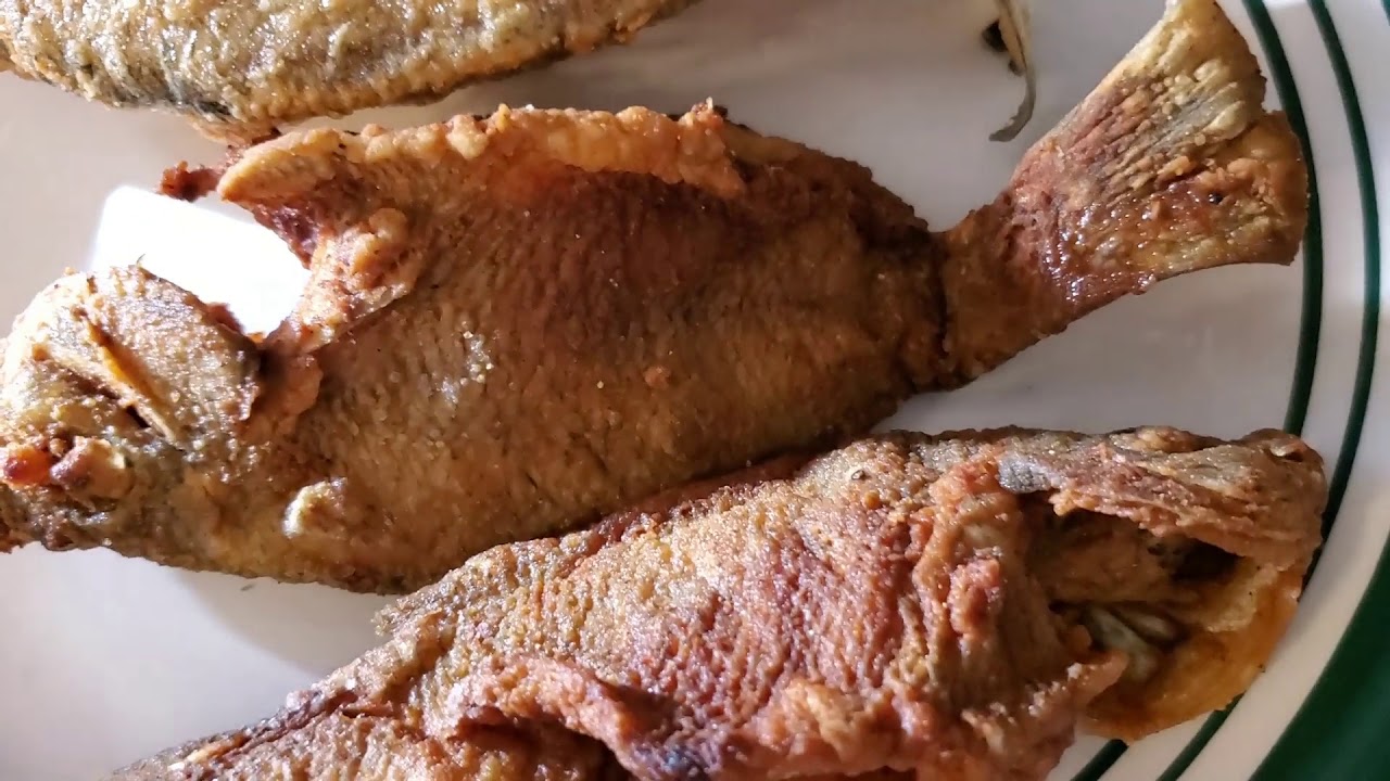 How to Make Breaded Fish: Bluegill & Crappy Fresh from Lake Evergreen ...