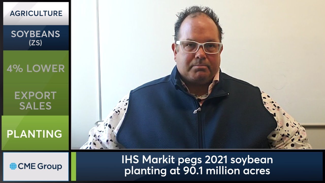 January 22 Grains Commentary: Scott Shellady - YouTube