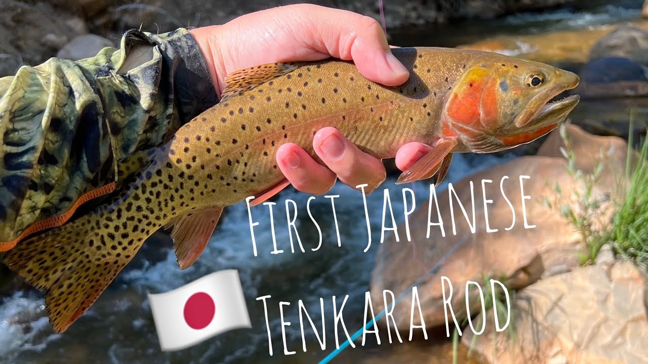 First Japanese Tenkara Rod EXPERIENCE #tenkaraflyfishing - YouTube