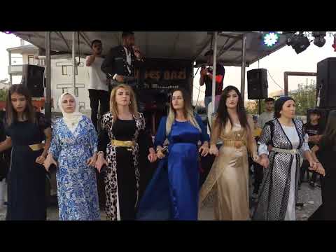 Rugeş Bazi Ertoşi Aşireti  Ceylan & Erol  Taşkın Ailesi Düğünü 2023