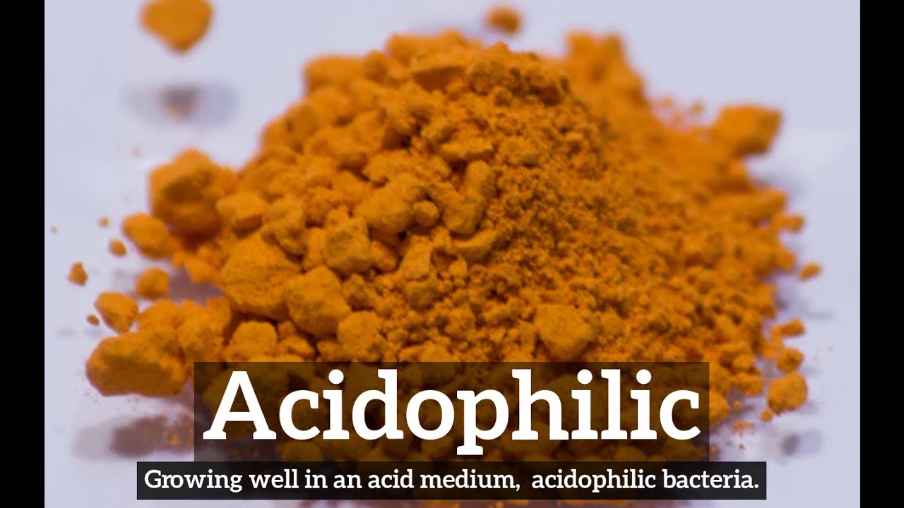 How to Say Acidophilic in English? | How Does Acidophilic Look? | What ...