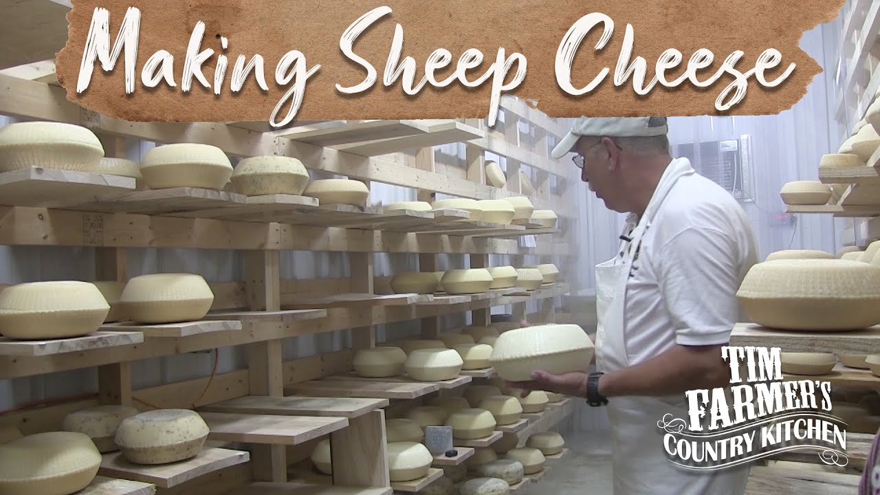 SHEEP CHEESE | How-To Make Sheep Cheese the Old Fashioned Way - YouTube