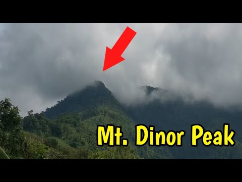#Mt.DinorPeak #Mt.Apo#MysocTV PAANU PUMUNTA NG MT. DINOR PEAK - YouTube
