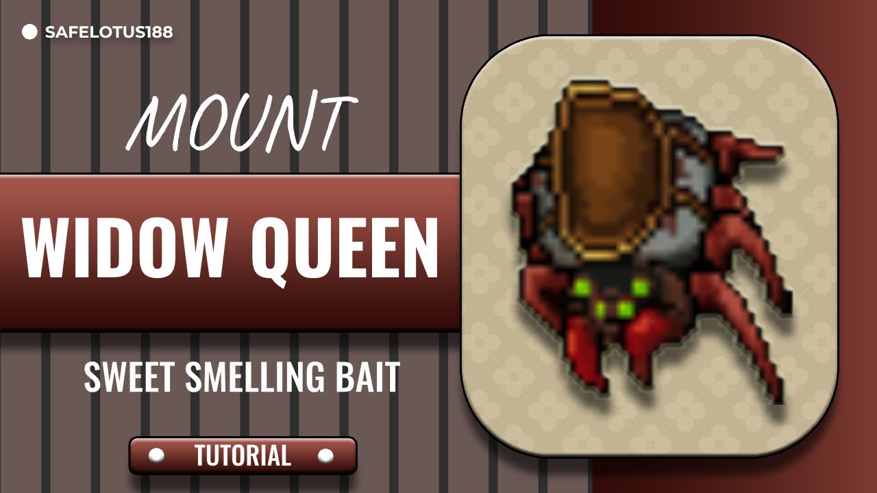 WIDOW QUEEN | TIBIA | MOUNT | TUTORIAL | SWEET SMELLING BAIT⚔️ - YouTube