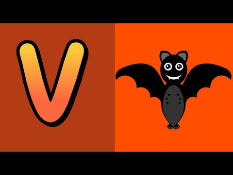 HEWAN BERAWALAN HURUF V - YouTube