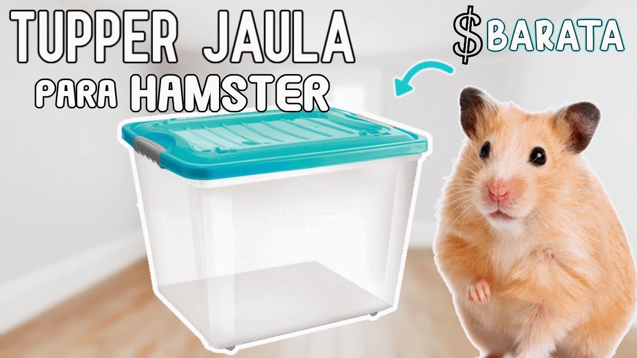 TUPPER JAULA para HAMSTERS - YouTube
