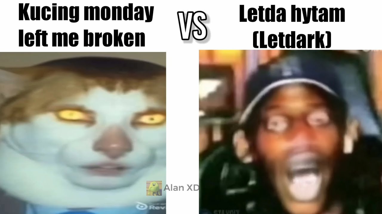 Letda hitam vs kucing Monday left me broken😱💀 - YouTube