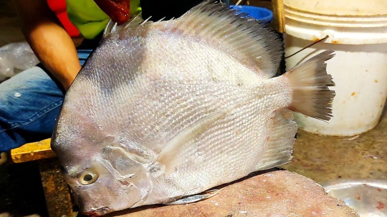 Amazing Cutting Skill | Giant Bat Fish Cutting In Bangladesh Fish ...