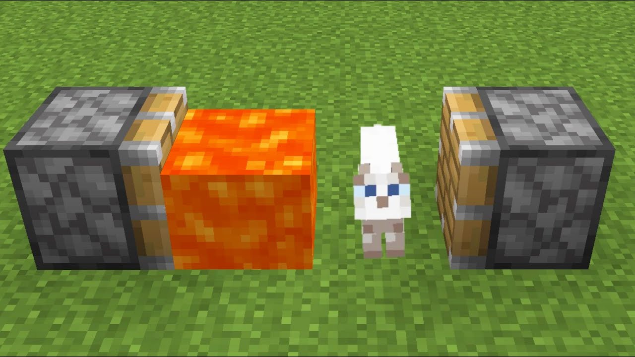 lava + cat =??? - YouTube