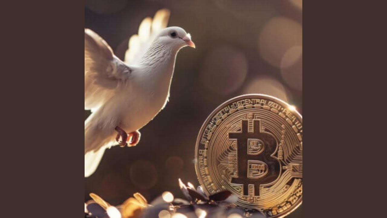 Bitcoin Freedom Money - YouTube